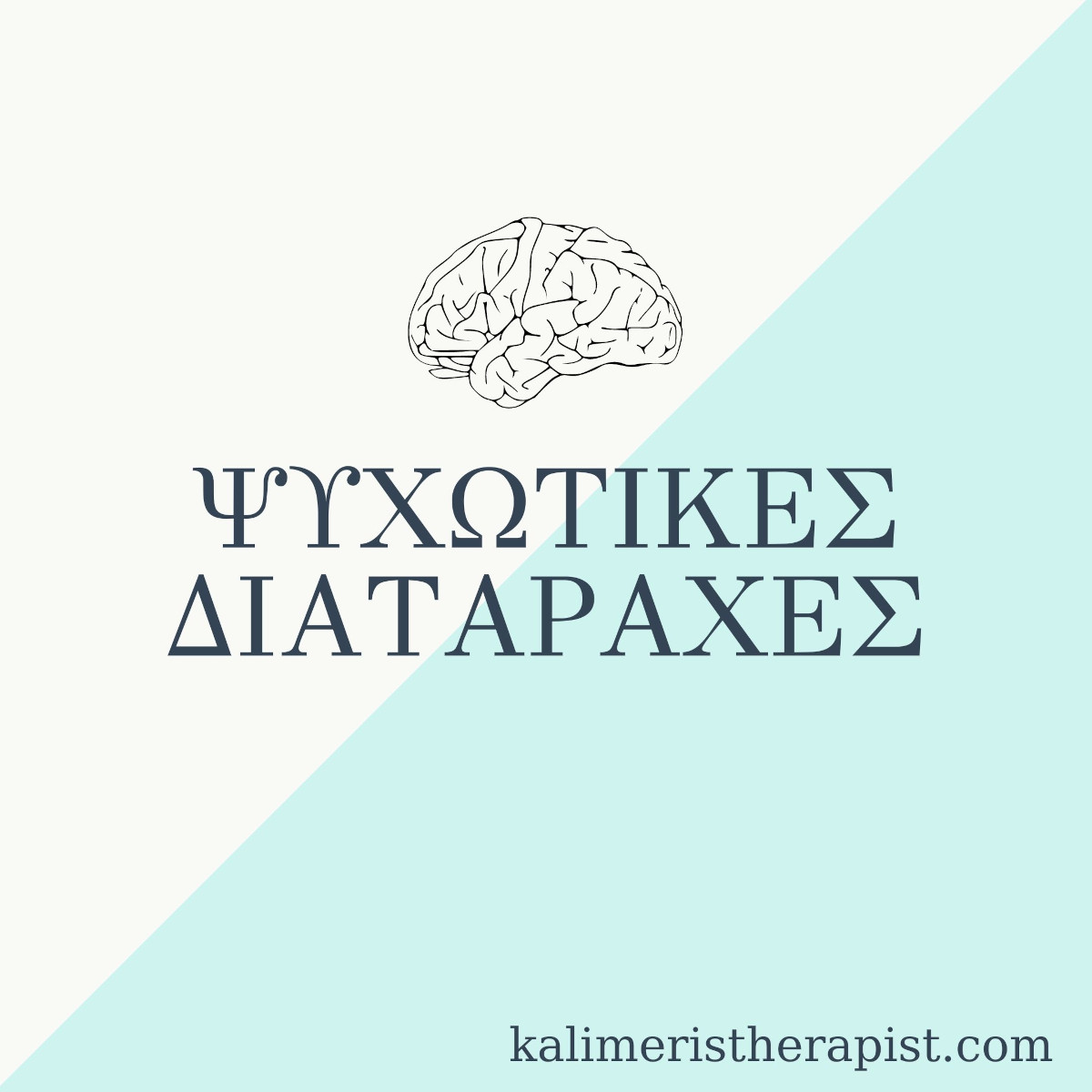 Ψύχωση - ψυχωτικές διαταραχές